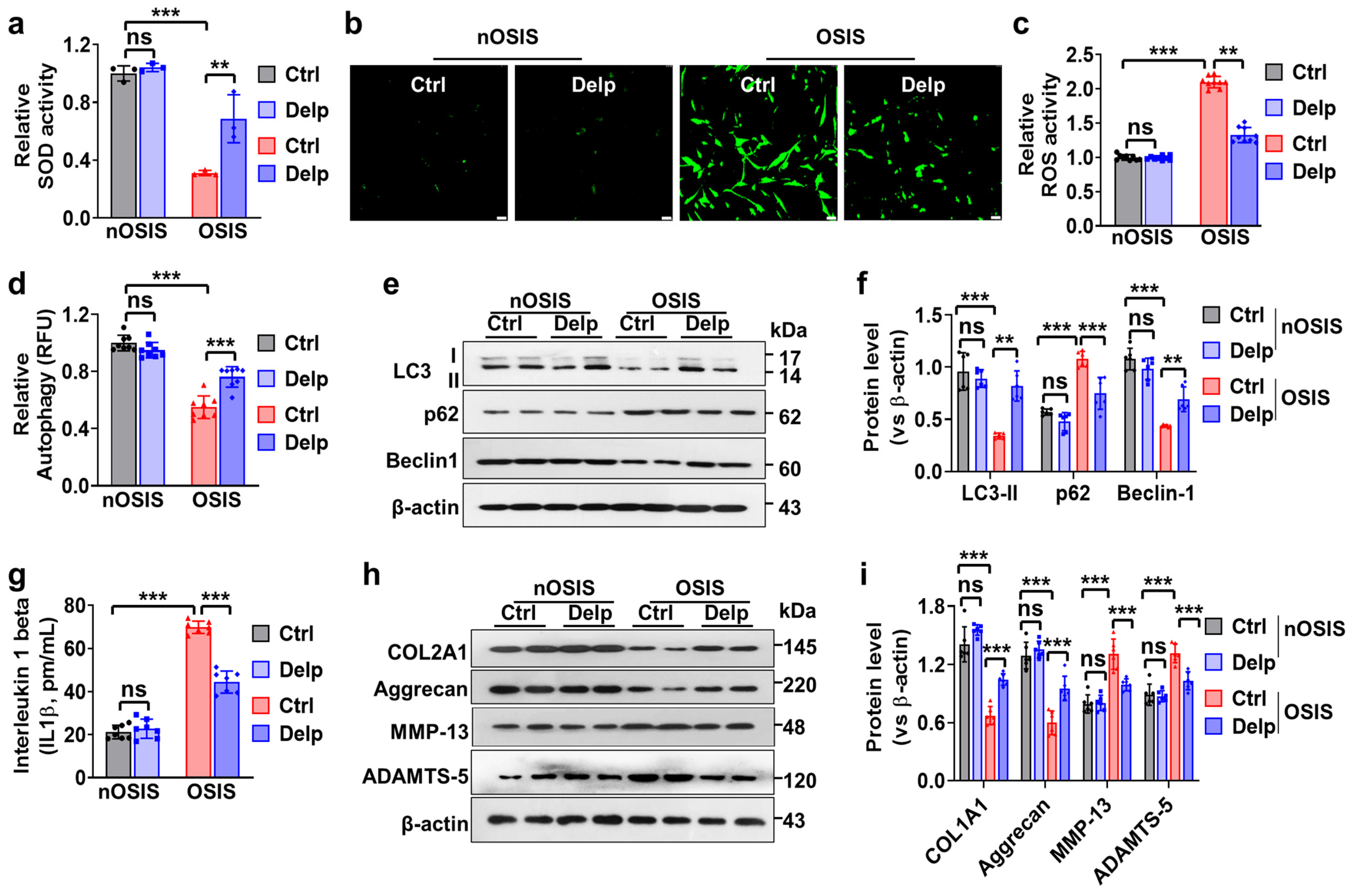 Antioxidants | Free Full-Text | The Survival of Human Intervertebral ...