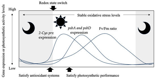 Diurnal-Rhythmic Relationships between Physiological Parameters and ...