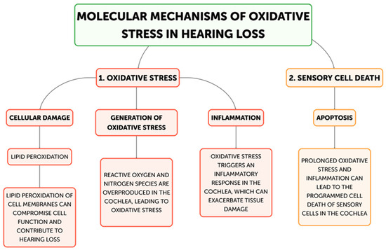 Hearing Loss and Oxidative Stress: A Comprehensive Review
