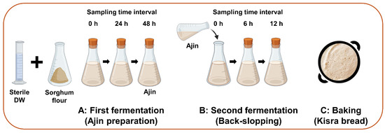 Effects of Lactic Acid Bacteria on Reducing the Formation of Biogenic ...
