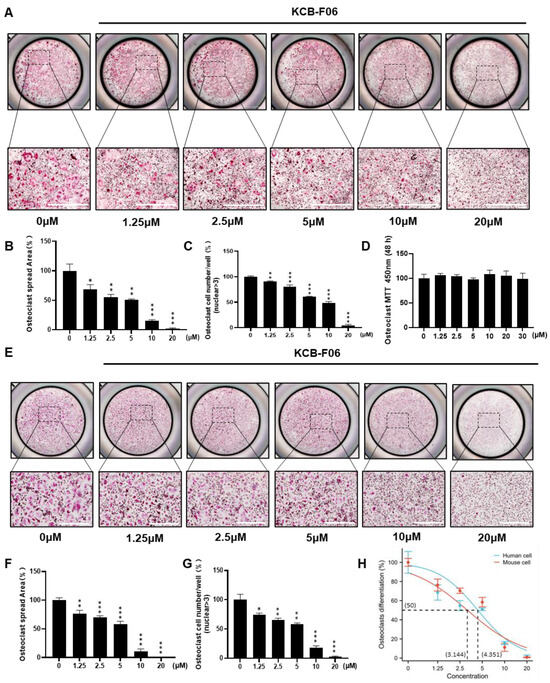 Novel Inhibitor of Keap1-Nrf2 Protein–Protein Interaction Attenuates ...