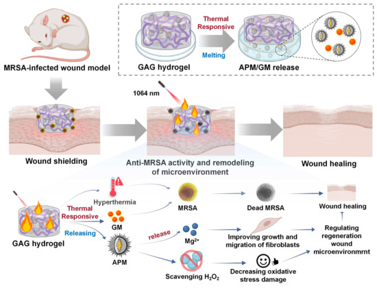 Thermal-Responsive Antibacterial Hydrogel with Photothermal Therapy and ...