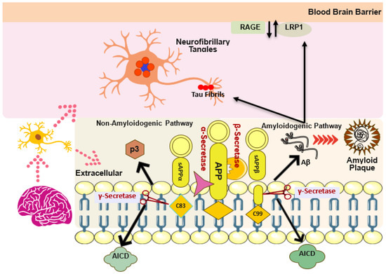 The Interplay of Protein Aggregation, Genetics, and Oxidative Stress in ...