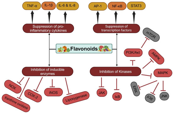 Flavonoids: Antioxidant Powerhouses and Their Role in Nanomedicine