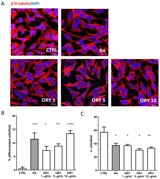 The Bioactive Gamma-Oryzanol from Oryza sativa L. Promotes Neuronal ...