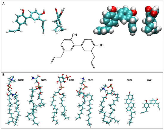 Localization and Aggregation of Honokiol in the Lipid Membrane