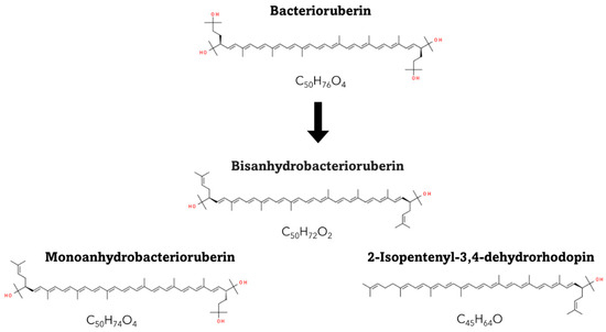 The Antitumour Mechanisms of Carotenoids: A Comprehensive Review
