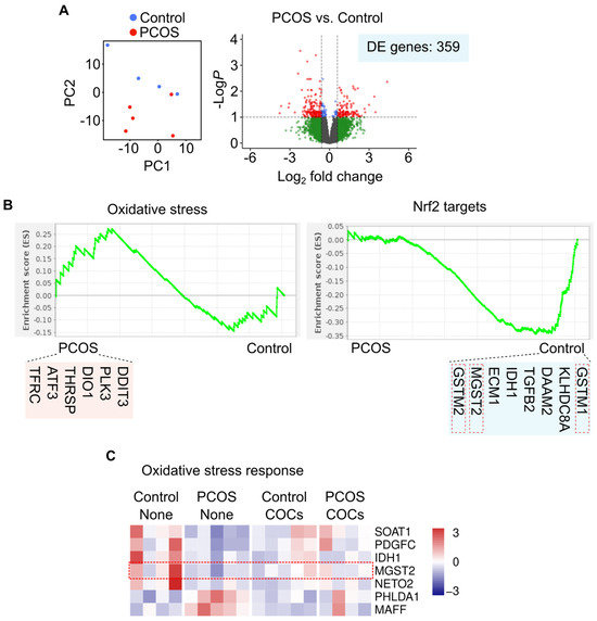 Oxidative Stress in Polycystic Ovary Syndrome: Impact of Combined Oral ...