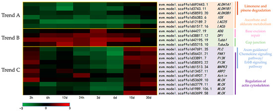 Comparative Analyses of Dynamic Transcriptome Profile of Heart Highlight the Key Response Genes ...