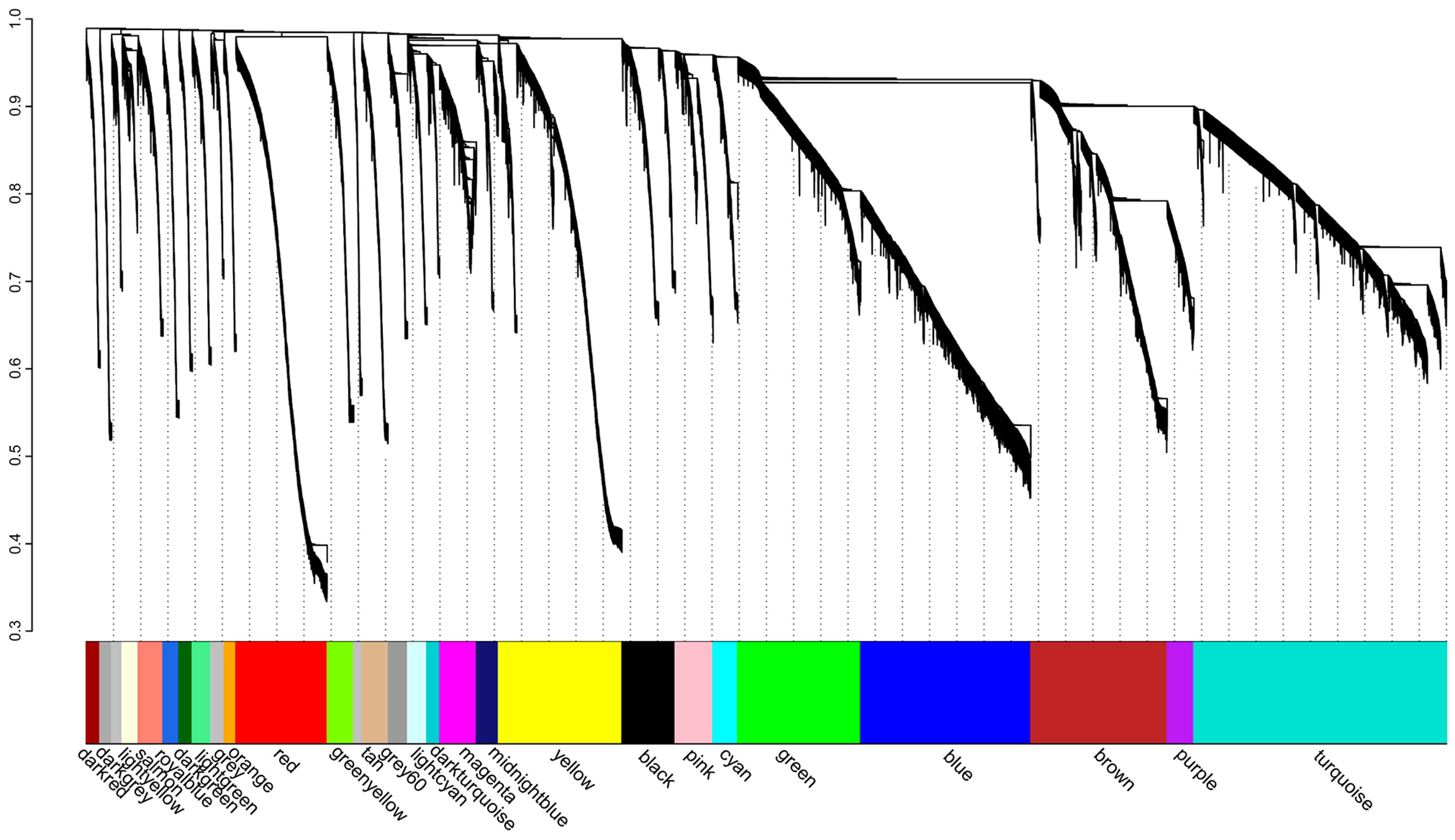 Comparative Analyses of Dynamic Transcriptome Profile of Heart Highlight the Key Response Genes ...