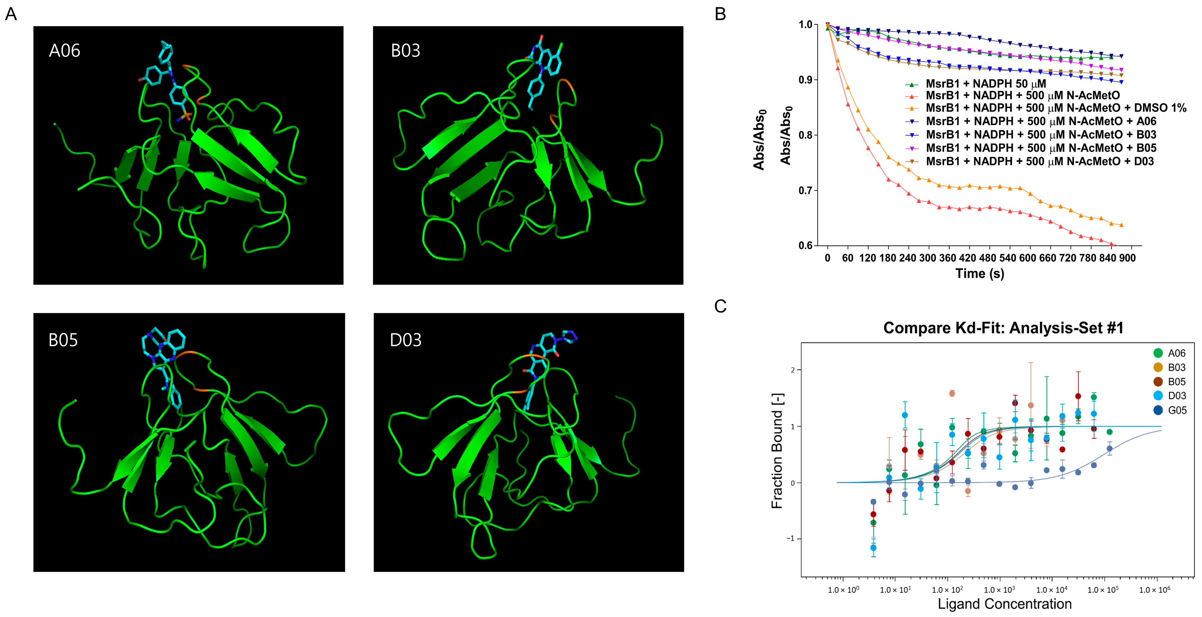 Development and Optimization of a Redox Enzyme-Based Fluorescence ...