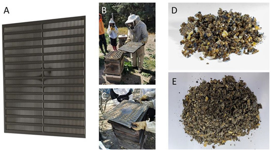 Determination of the Botanical Origin and Physicochemical Properties of ...