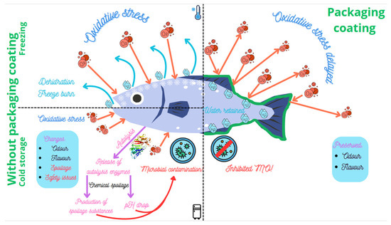 Edible Coatings for Fish Preservation: Literature Data on Storage ...