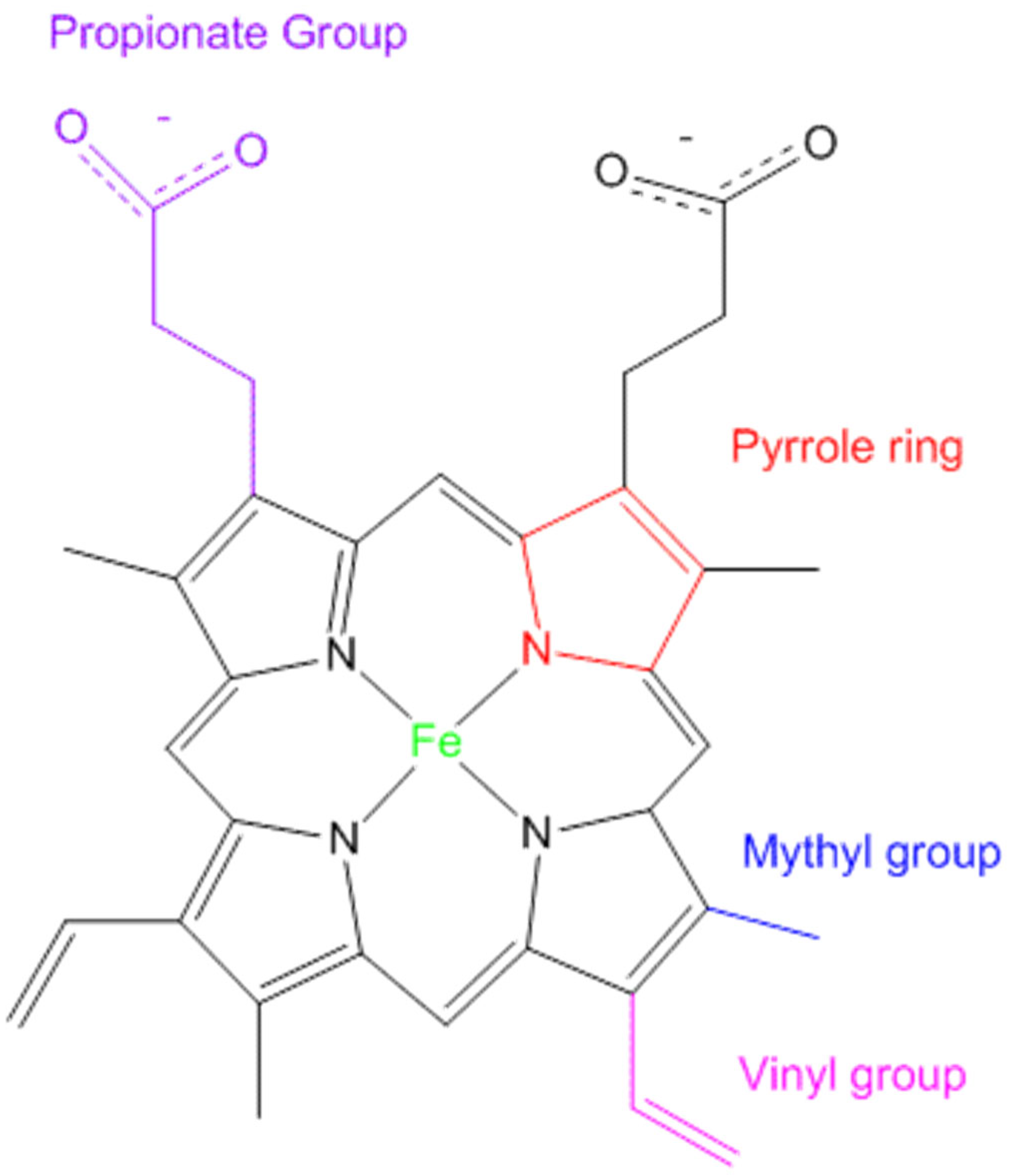 The Neural Palette of Heme: Altered Heme Homeostasis Underlies ...