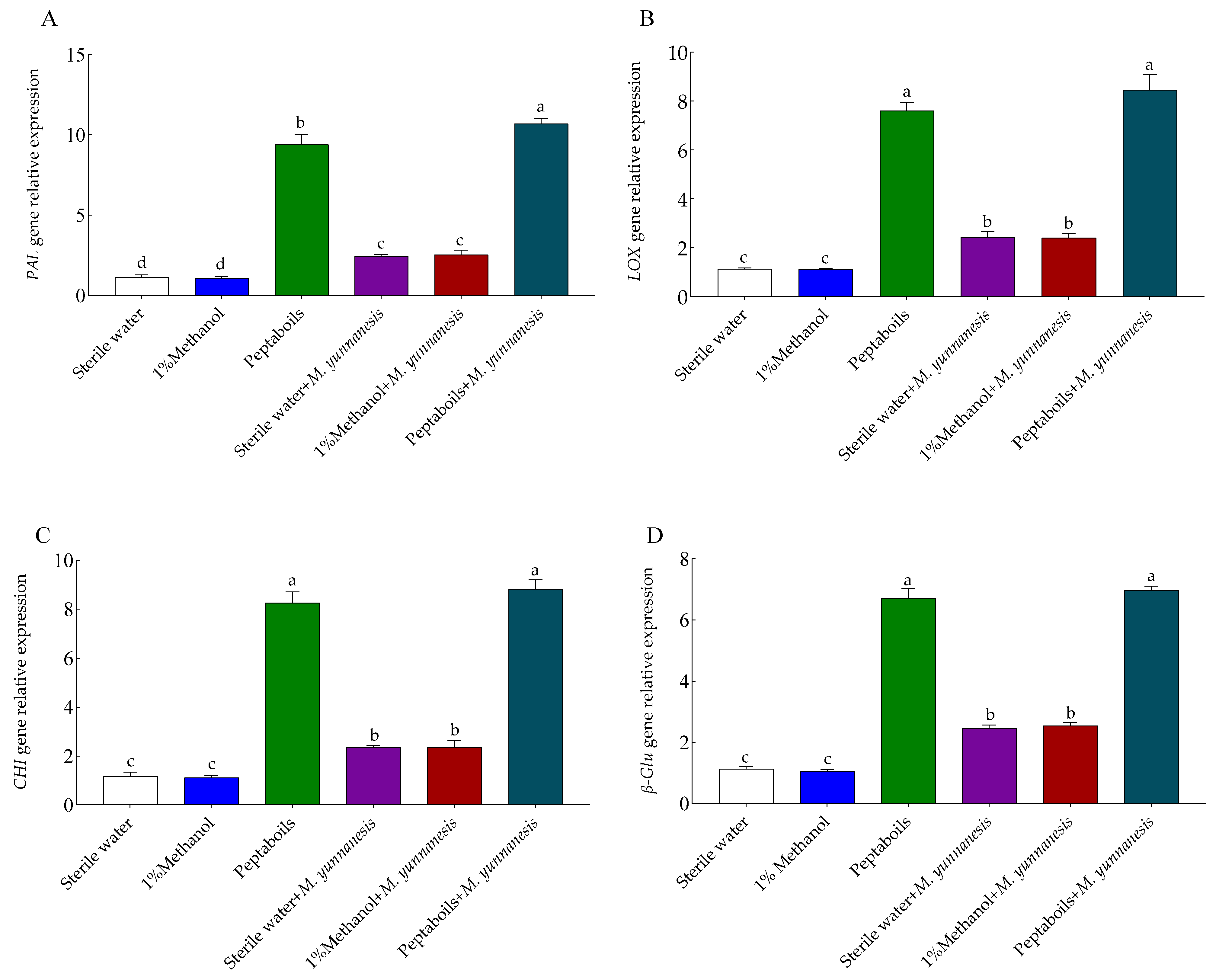 Trichoderma longibrachiatum (T6) Peptaibols Inhibiting the Monilia ...