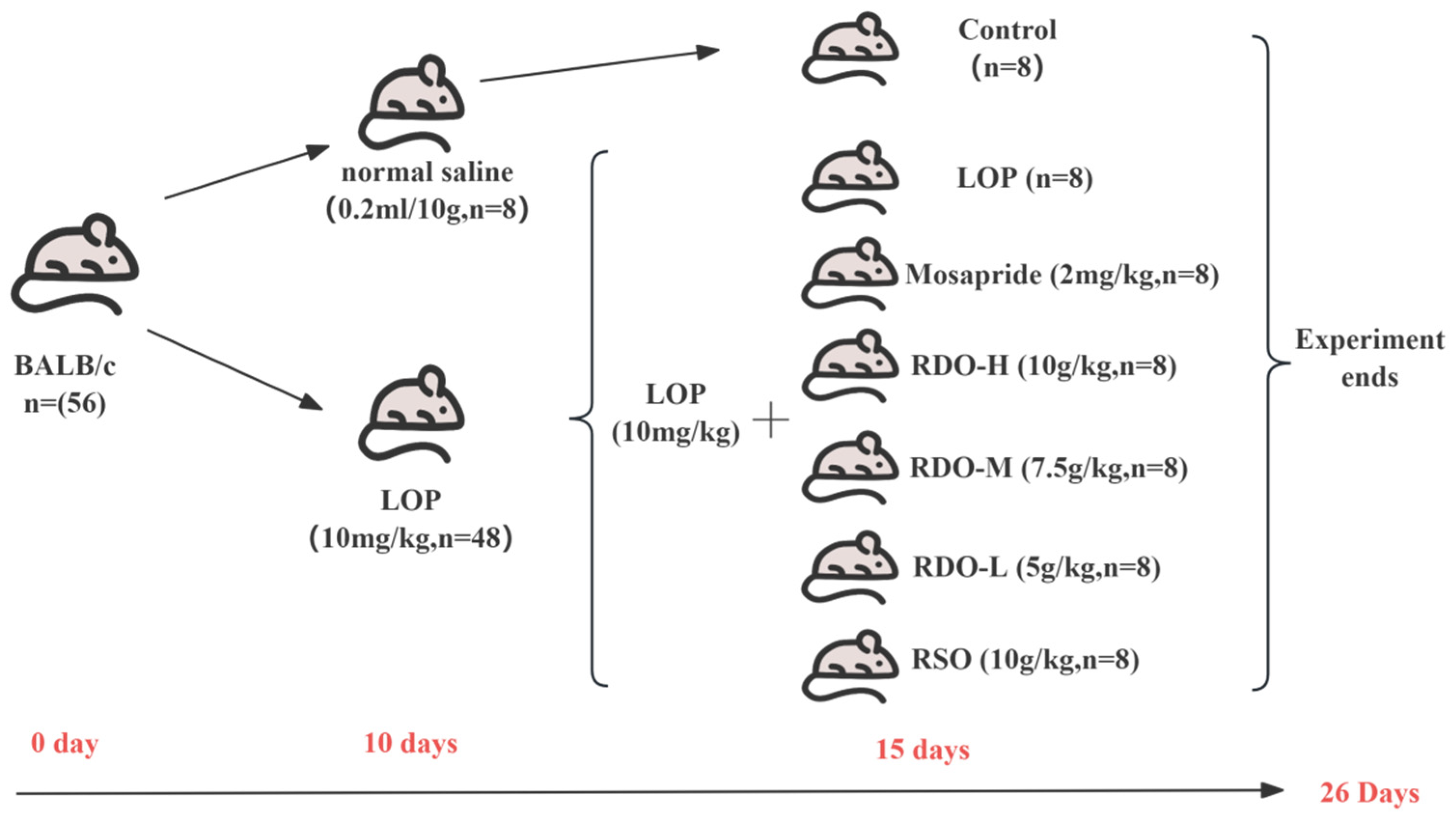 Effects of Functional Red Pine Seed Direct-Drinking Oil on Constipation ...