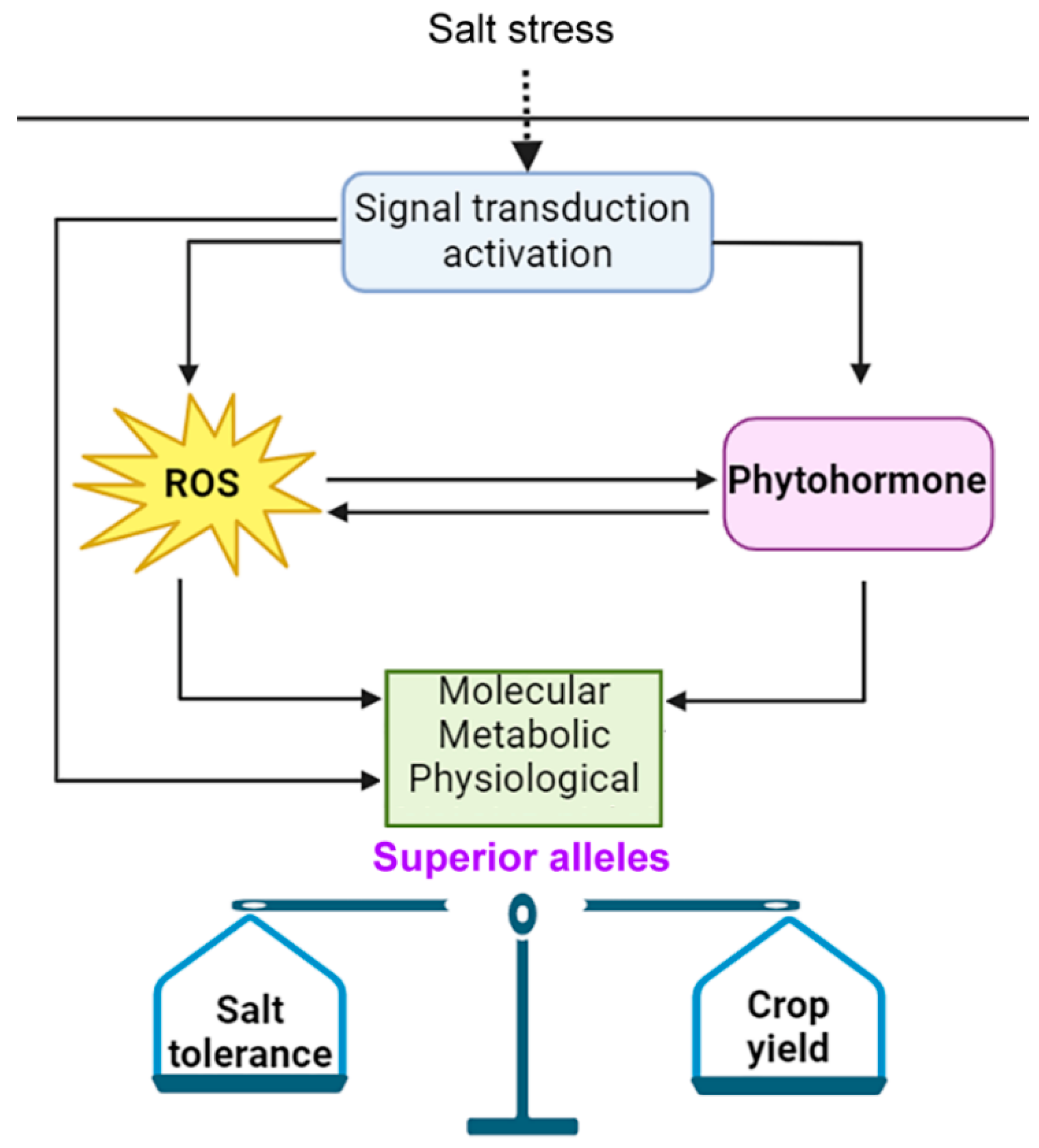 The Regulation of ROS and Phytohormones in Balancing Crop Yield and ...