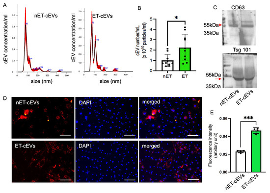 Exercise-Intervened Circulating Extracellular Vesicles Alleviate ...