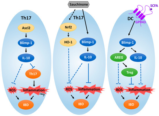 Transcription Factor Blimp-1: A Central Regulator of Oxidative Stress ...