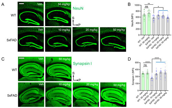 diAcCA, a Pro-Drug for Carnosic Acid That Activates the Nrf2 ...