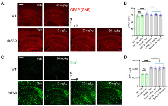 diAcCA, a Pro-Drug for Carnosic Acid That Activates the Nrf2 ...