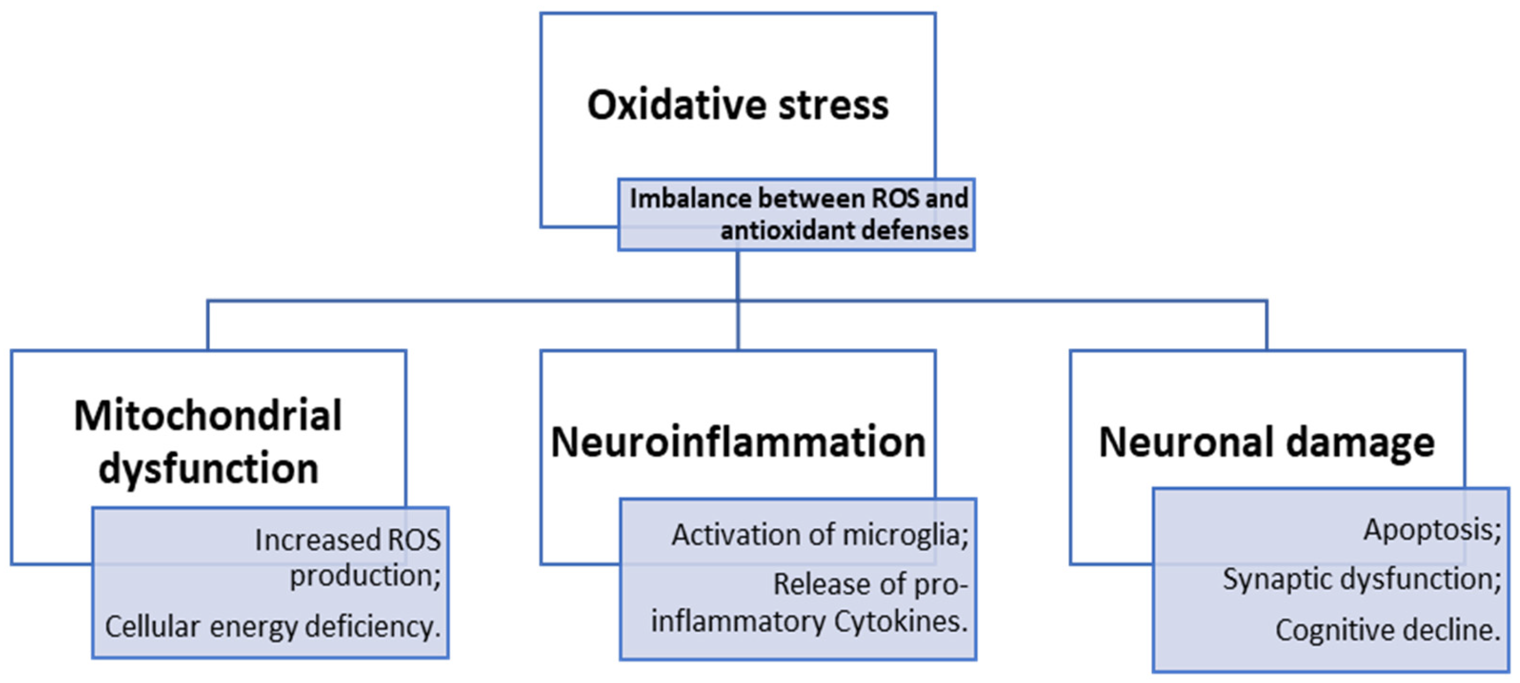 Oxidative Stress in Brain Function