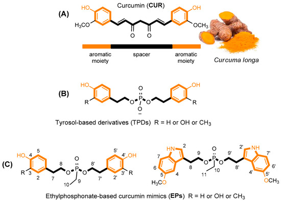 Synthesis of Ethylphosphonate Curcumin Mimics: Substituents Allow ...