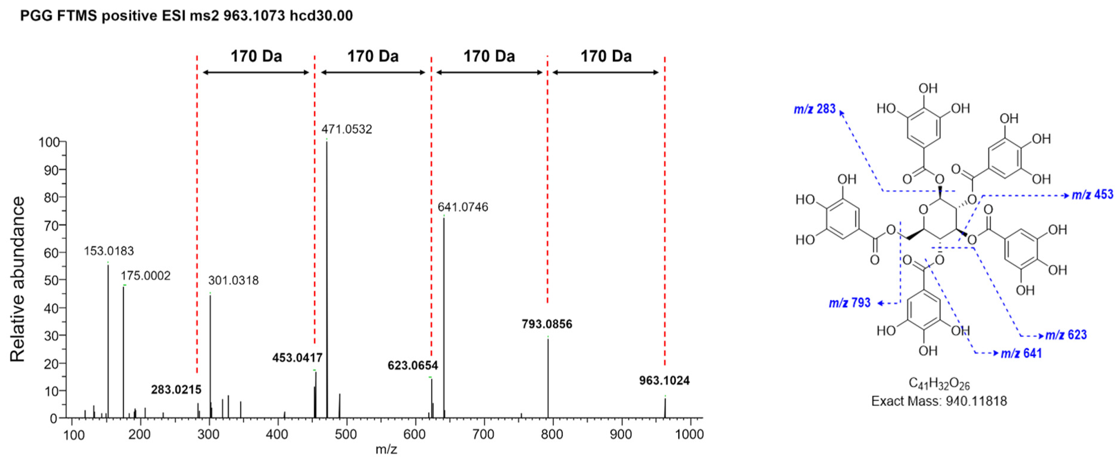Evaluation of Efficacy of Water-Soluble Fraction of Rhus semialata Gall ...