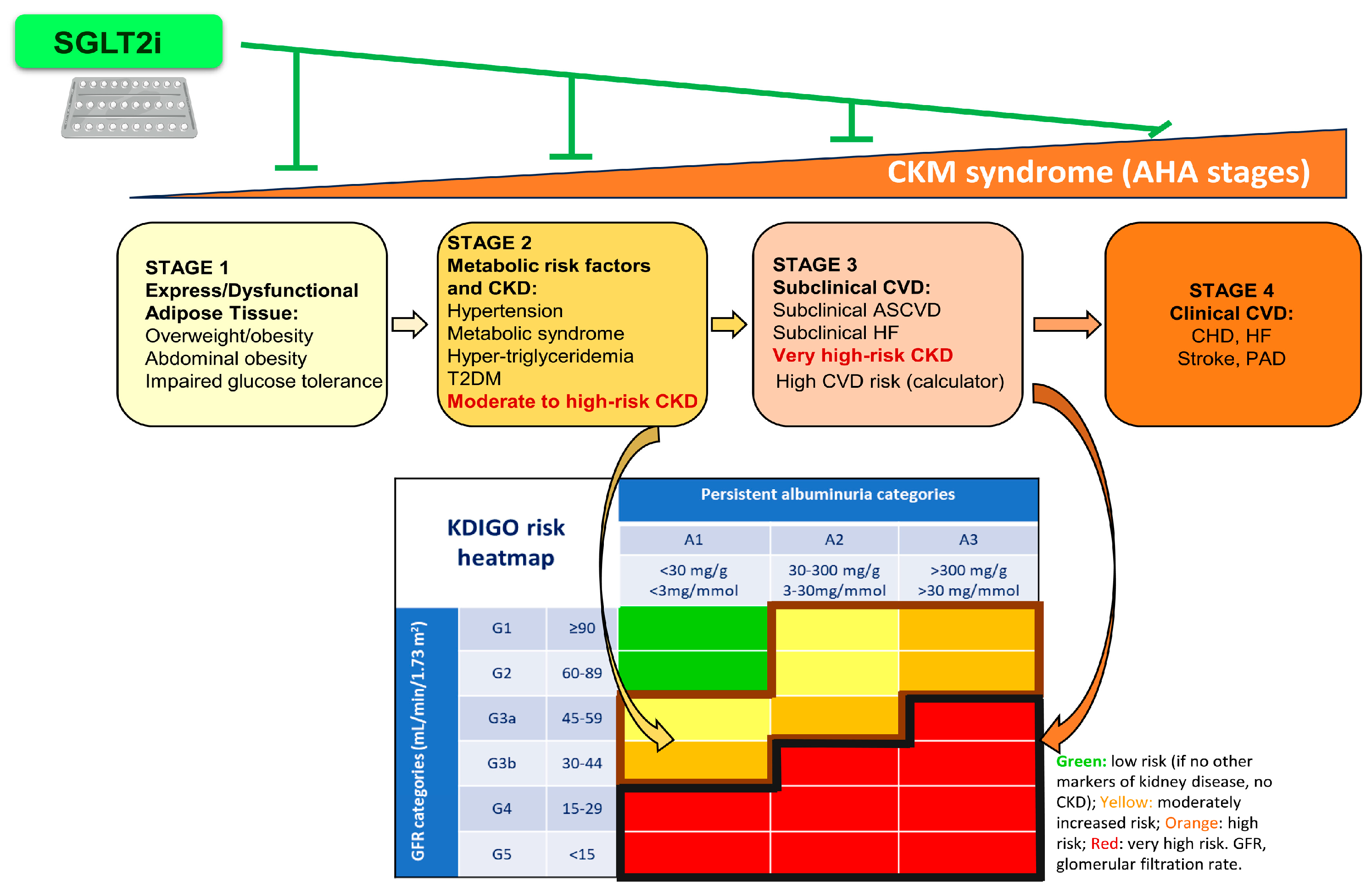 Antioxidant Effects of SGLT2 Inhibitors on Cardiovascular–Kidney ...