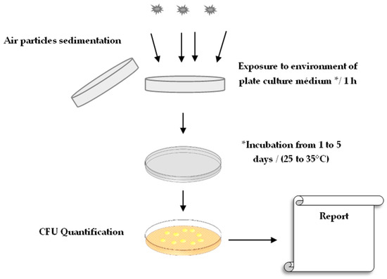 Microbiological Analysis of the Air in a Popular Fish Processing and ...