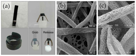 Nature-Inspired Cellulose-Based Active Materials: From 2D to 4D