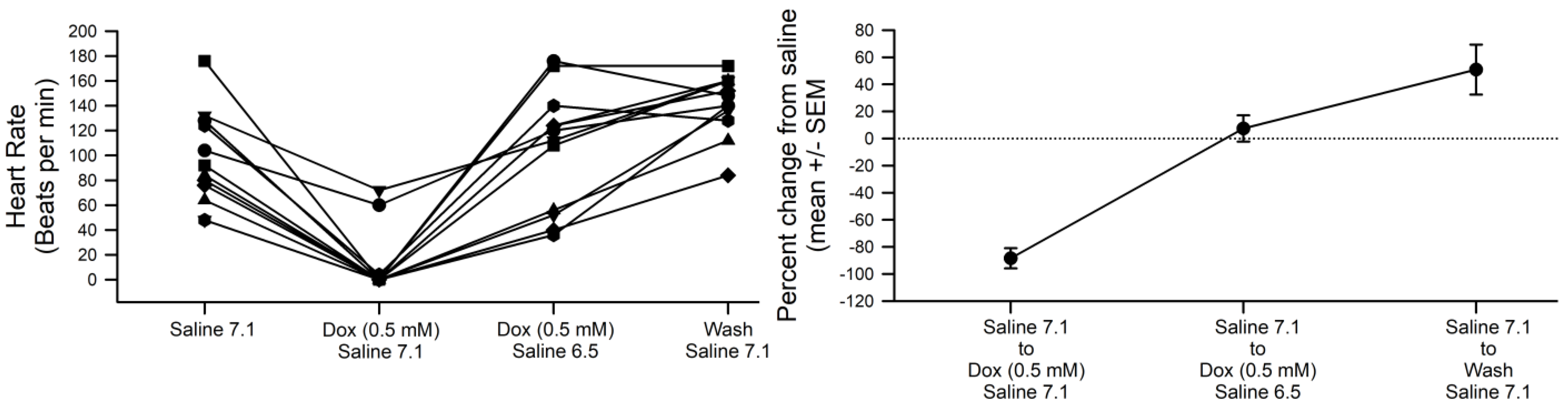 Effect of Doxapram, a K2p Channel Blocker, and pH on Heart Rate: Larval ...