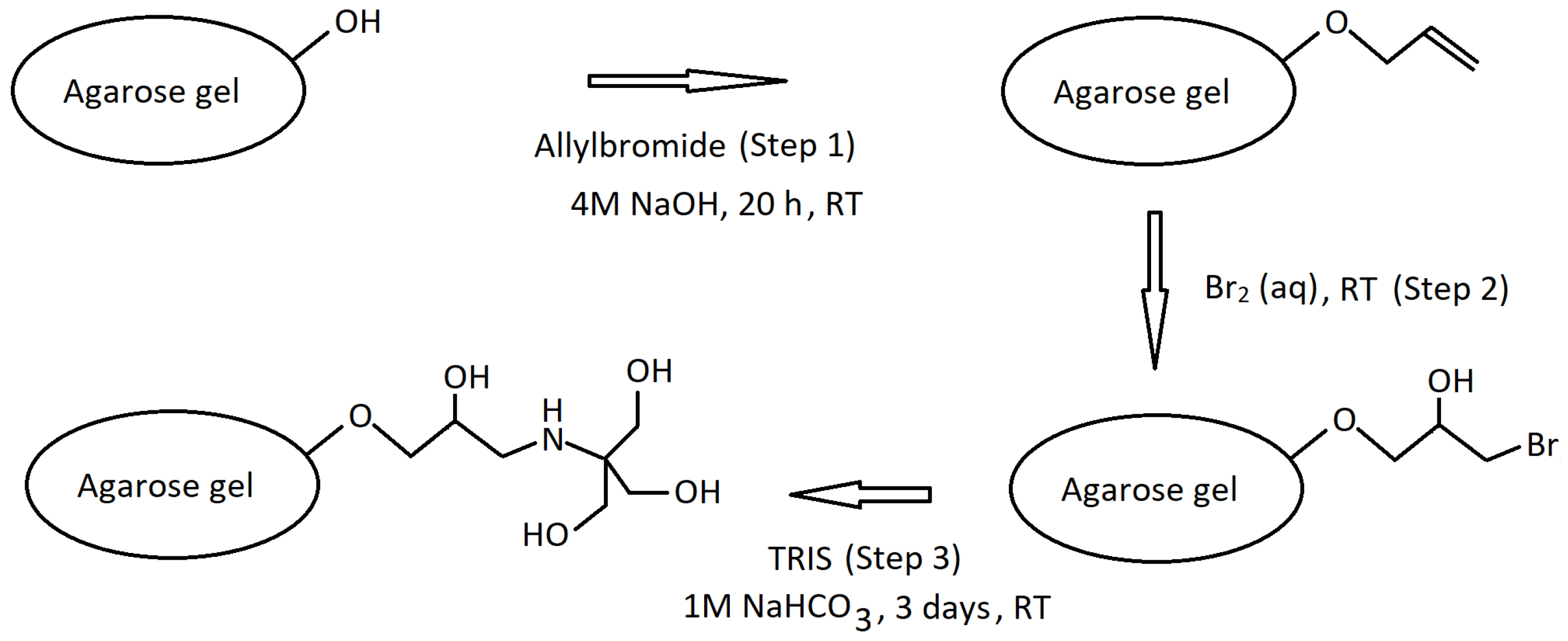 AppliedChem | Free Full-Text | Hydroxyalkyl Amination of Agarose Gels ... AppliedChem | Free Full-Text | Hydroxyalkyl Amination of Agarose Gels ...