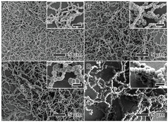 AppliedChem | Free Full-Text | Controlled Nickel Nanoparticles: A ...