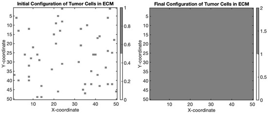Mathematical Modeling of Cancer Progression