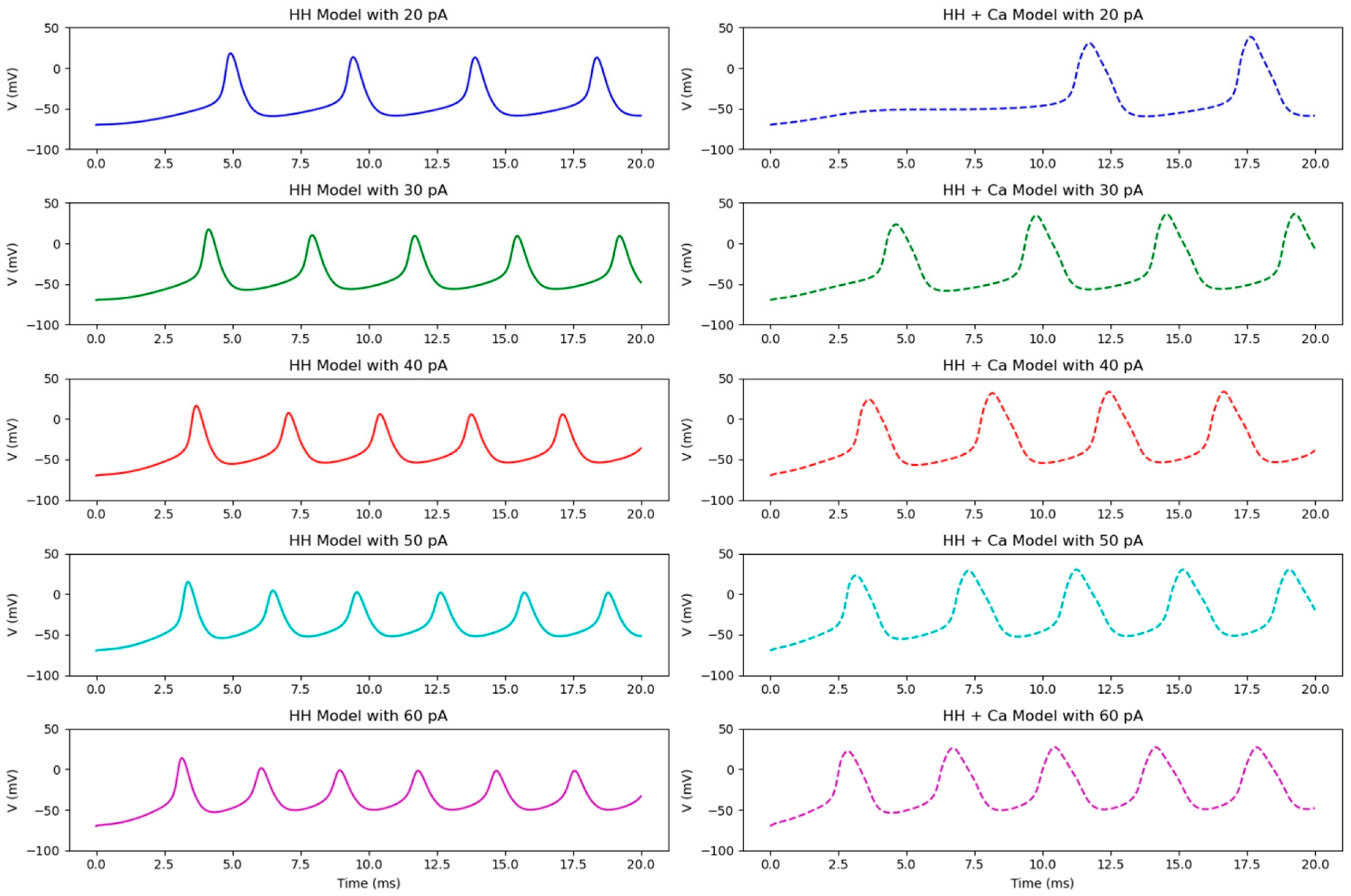 Effect of Calcium on the Characteristics of Action Potential Under ...
