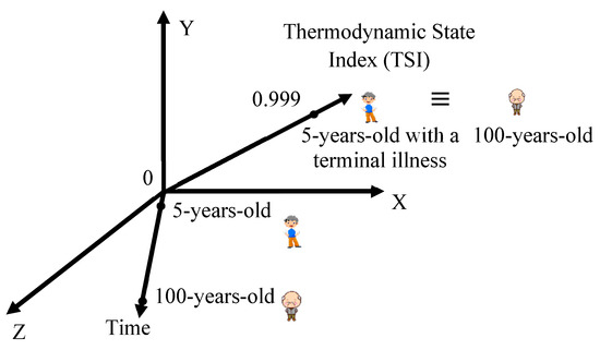 Dynamic Equilibrium Equations in Unified Mechanics Theory