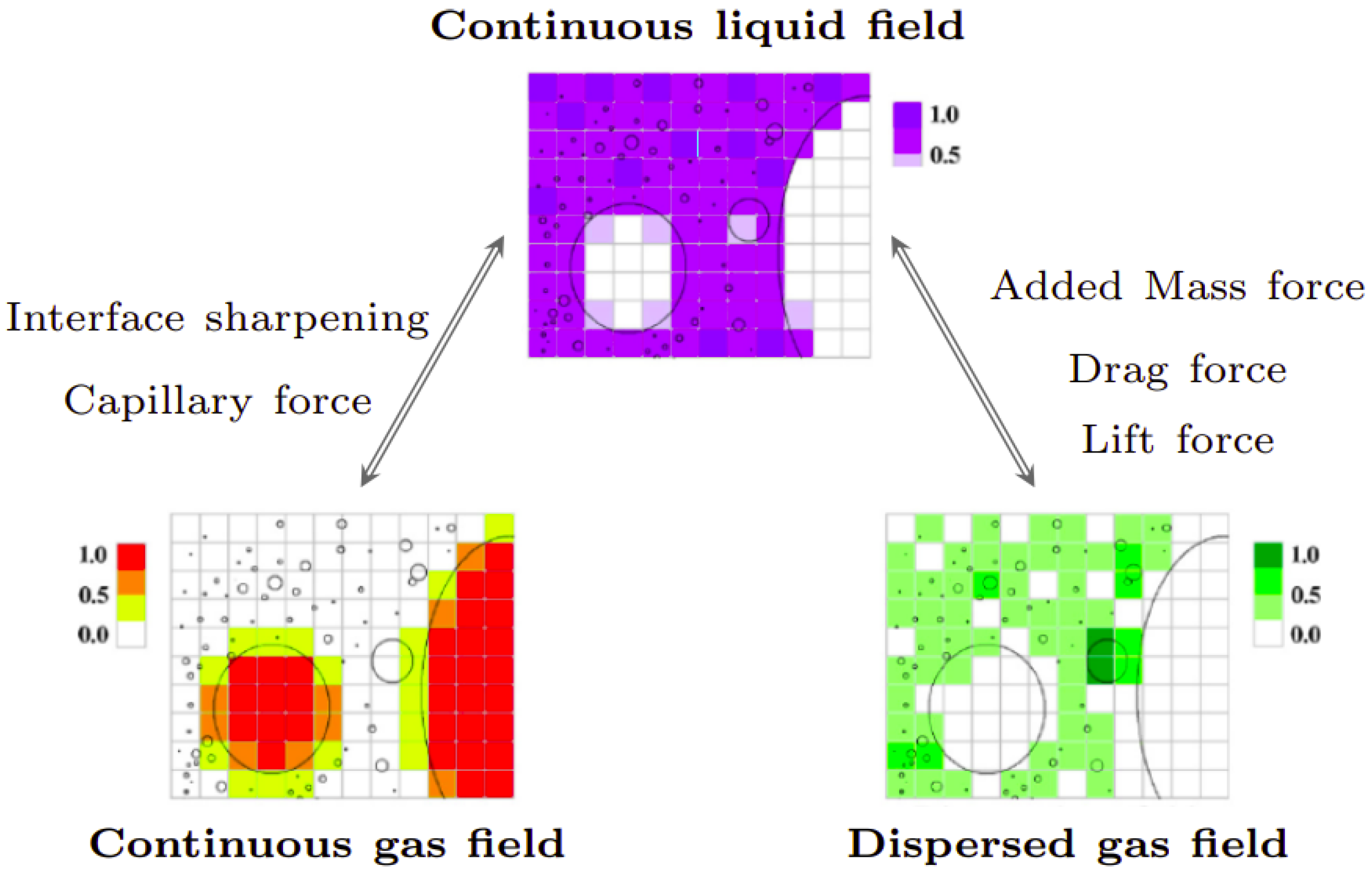 Euler–Euler Multi-Scale Simulations of Internal Boiling Flow with Conjugated Heat Transfer