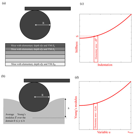 AFM Indentation on Highly Heterogeneous Materials Using Different ...