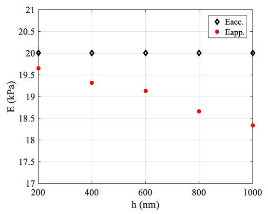 AFM Indentation on Highly Heterogeneous Materials Using Different ...