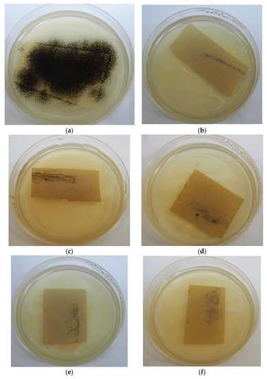 Applied Microbiology | An Open Access Journal from MDPI