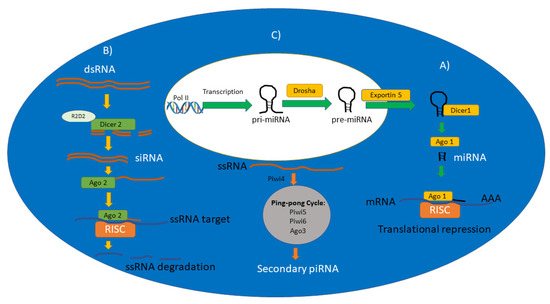 Applied Microbiology | An Open Access Journal from MDPI