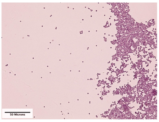 Applied Microbiology | An Open Access Journal from MDPI