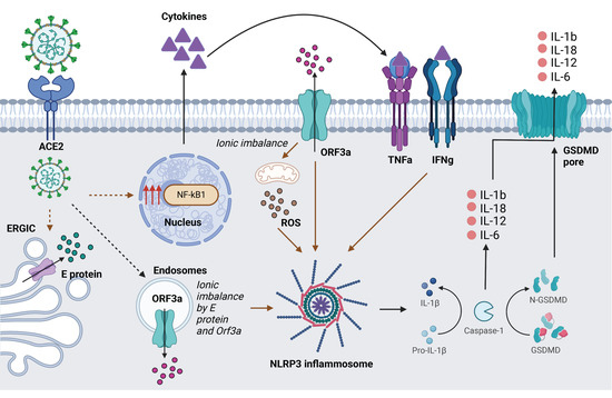 Applied Microbiology | An Open Access Journal from MDPI