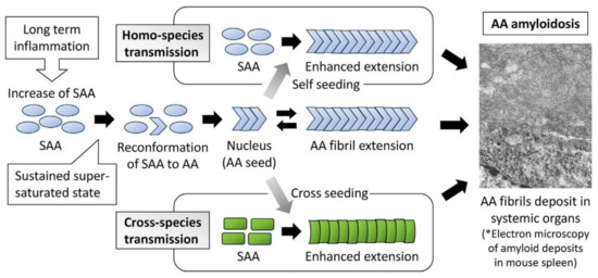 Applied Microbiology | An Open Access Journal from MDPI