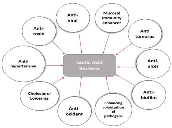 Lactic Acid Bacteria as Mucosal Immunity Enhancers and Antivirals ...