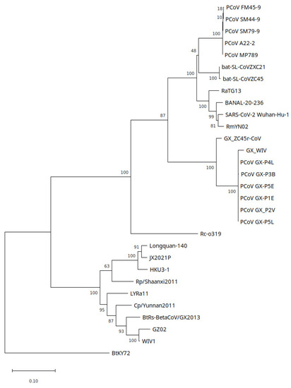 Forensic Analysis of Novel SARS2r-CoV Identified in Game Animal ...