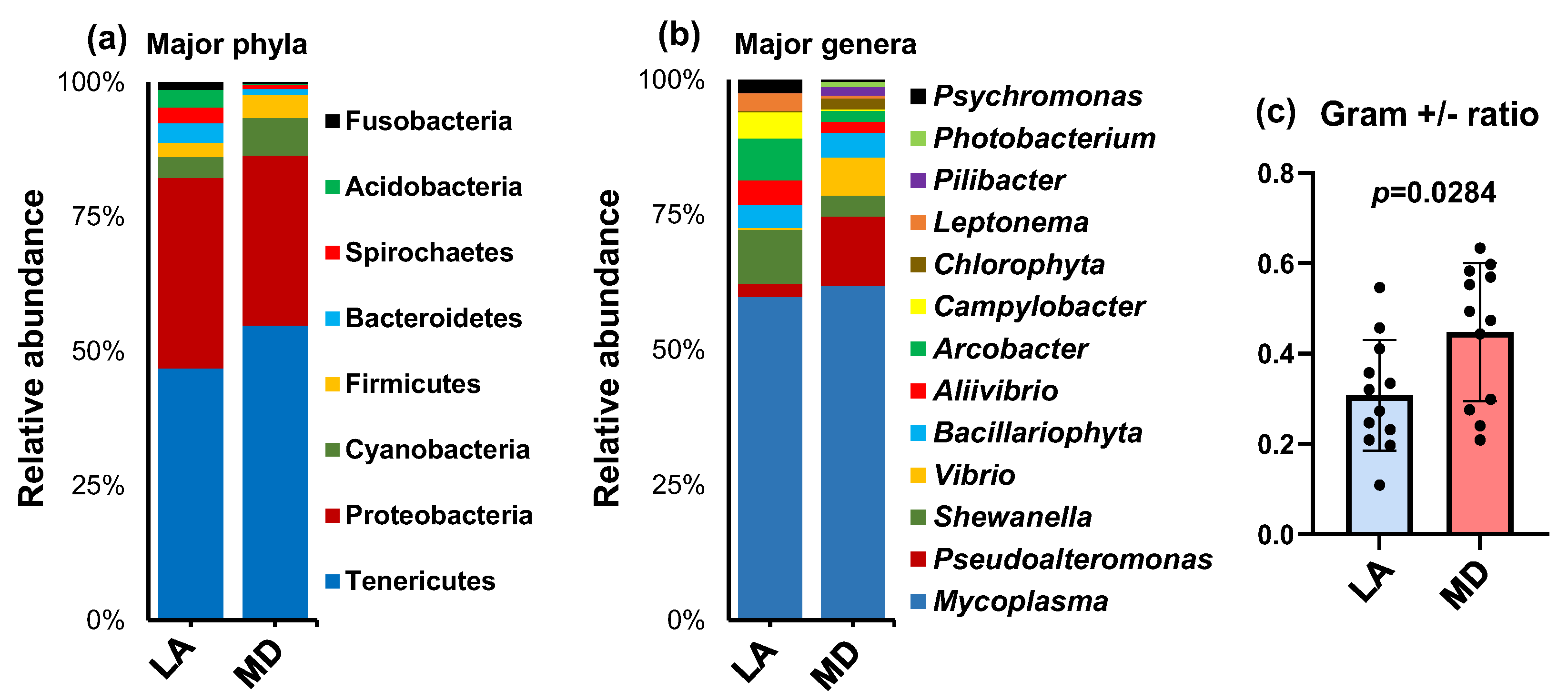 Comparison of the Gill Microbiome of Retail Oysters from Two ...