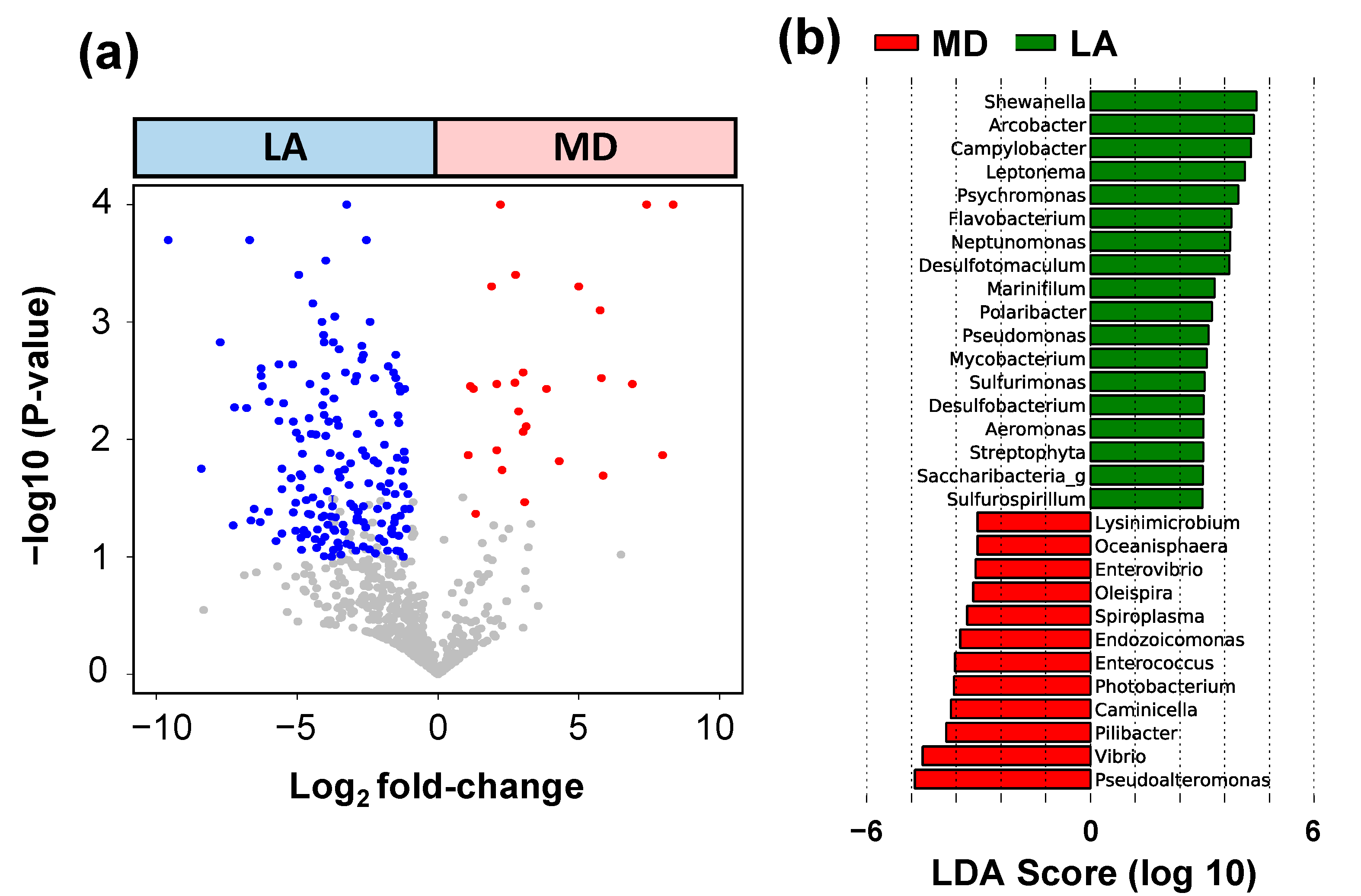 Comparison of the Gill Microbiome of Retail Oysters from Two ...