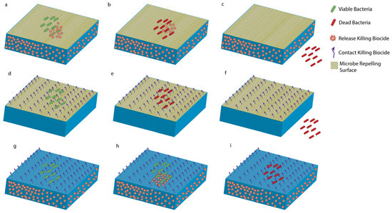 Antimicrobial Coatings: Reviewing Options for Healthcare Applications